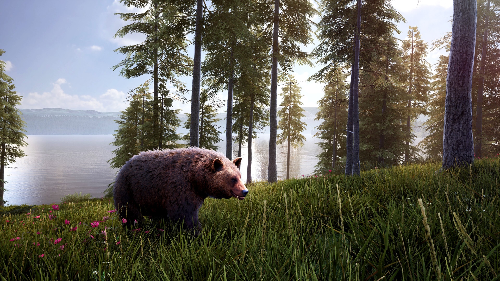 Hunting Simulator 2 Bear Hunter Pack (PC) - Steam Gift - EUROPE