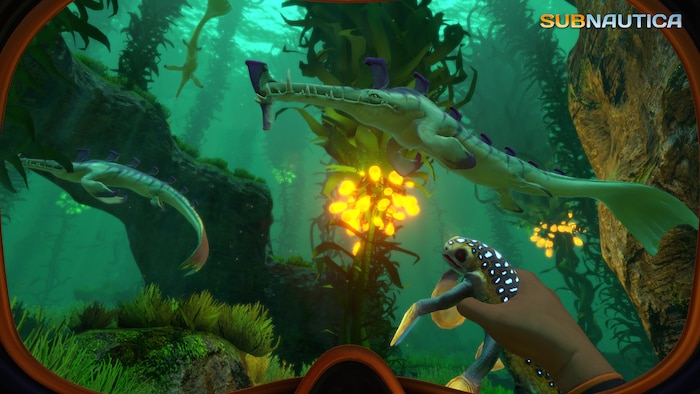 Subnautica Aurora Door Codes: Unlock Every Room and Secret - G2A News