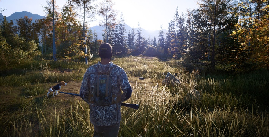 Buy Hunting Simulator 2 PC Steam Key